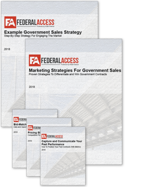 Win Government Contracts with Federal Access | RSM Federal